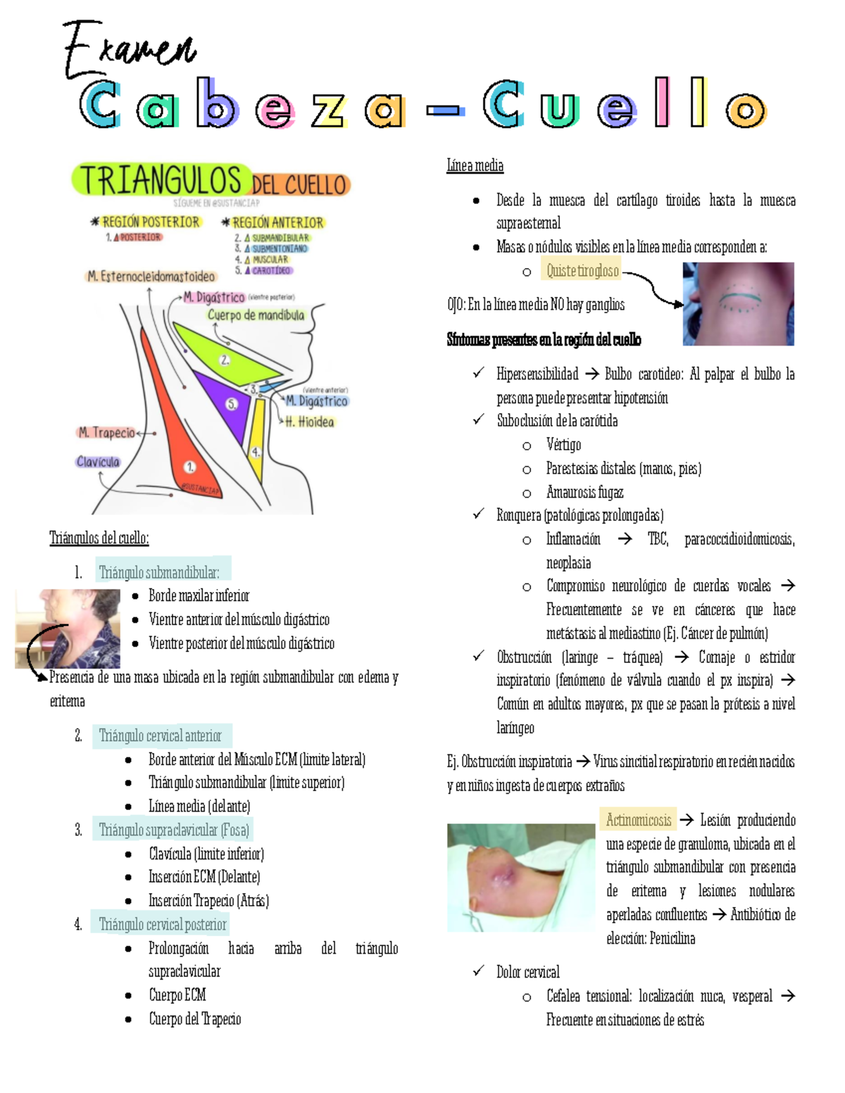 6. Examen cabeza y cuello - Tri·ngulos del cuello: Tri·ngulo submandibular: Borde maxilar ...