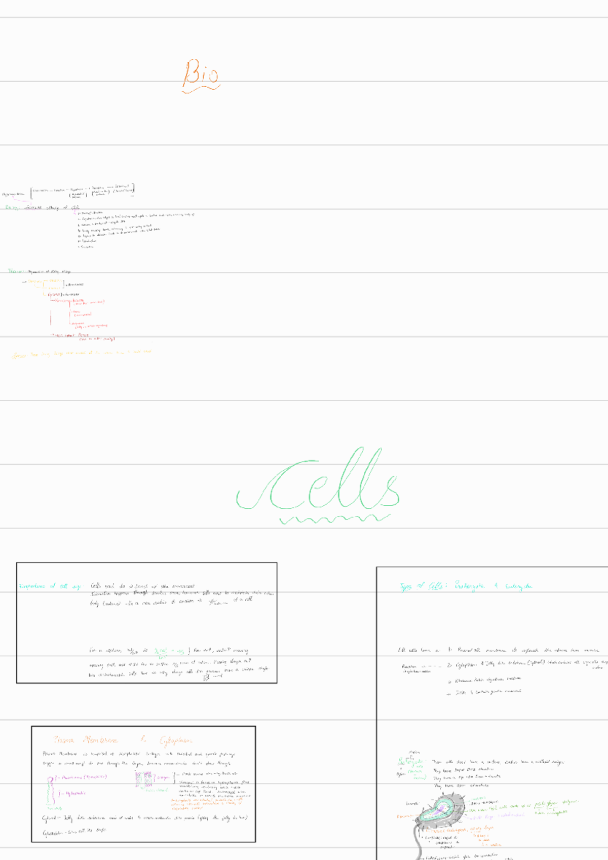 BIO NOTES I made - Bio Quation Hypotheals Pradiction Hypotiests common ...