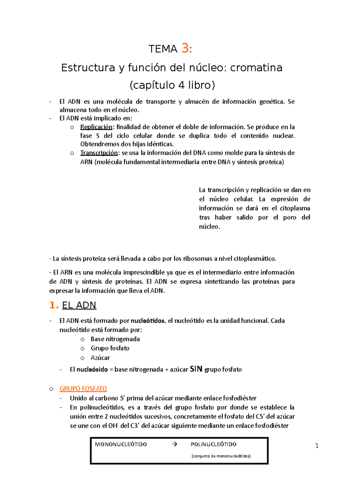 Tema 3 (complemento magistral) - TEMA 3 : Estructura y función del núcleo: cromatina (capítulo 4 ...