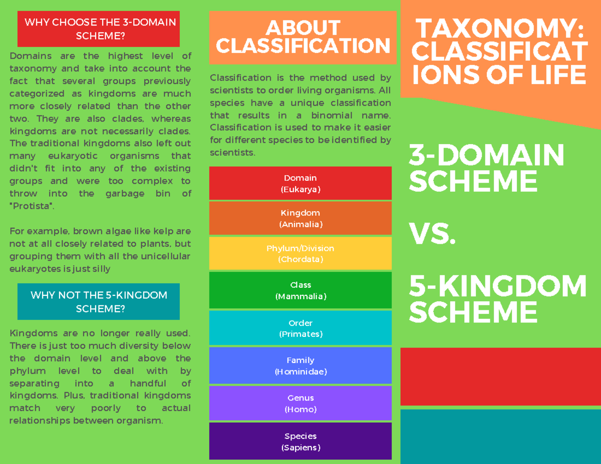 Pamphlet Classifications Taxonomy - Domain (Eukarya) Kingdom (Animalia ...