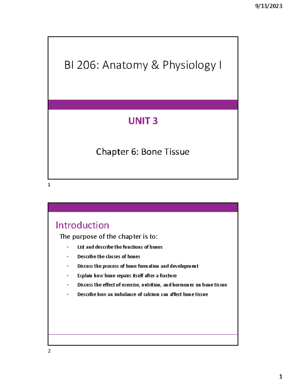10 - Bone Tissue 2023 Slides - BI 206: Anatomy & Physiology I UNIT 3 ...