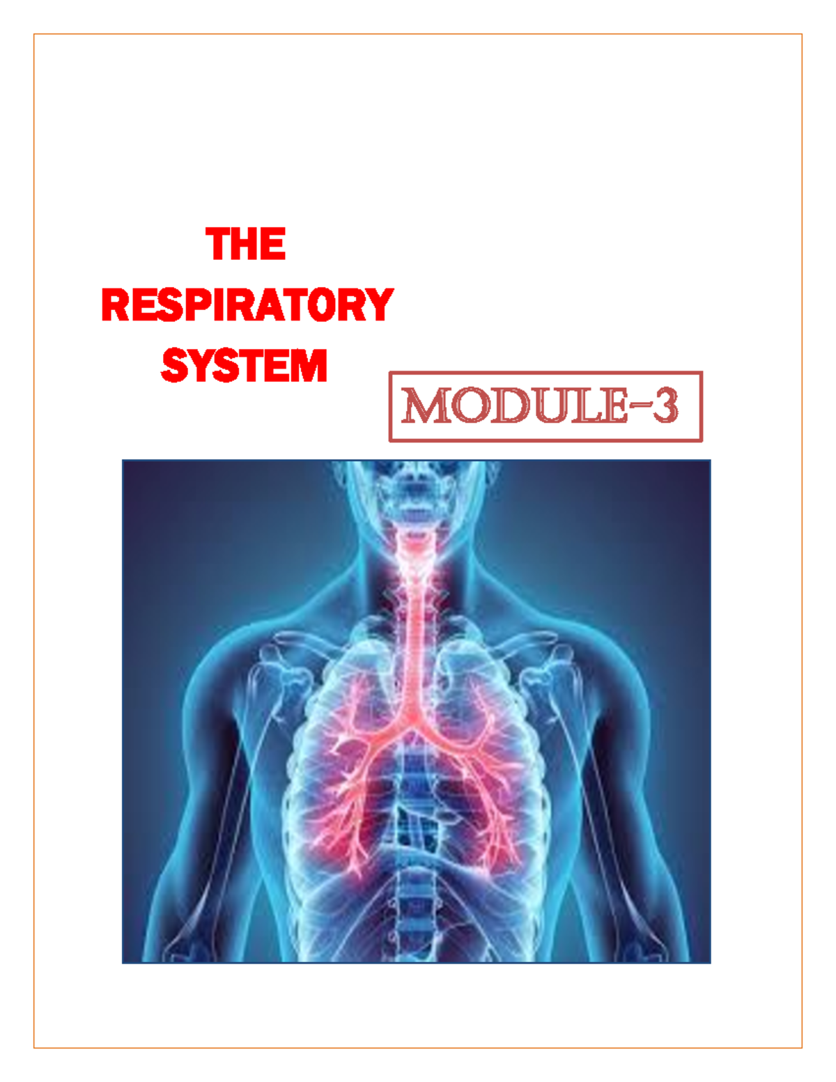 THE Respiratory System Reviewer SJ - THE RESPIRATORY SYSTEM Functions ...