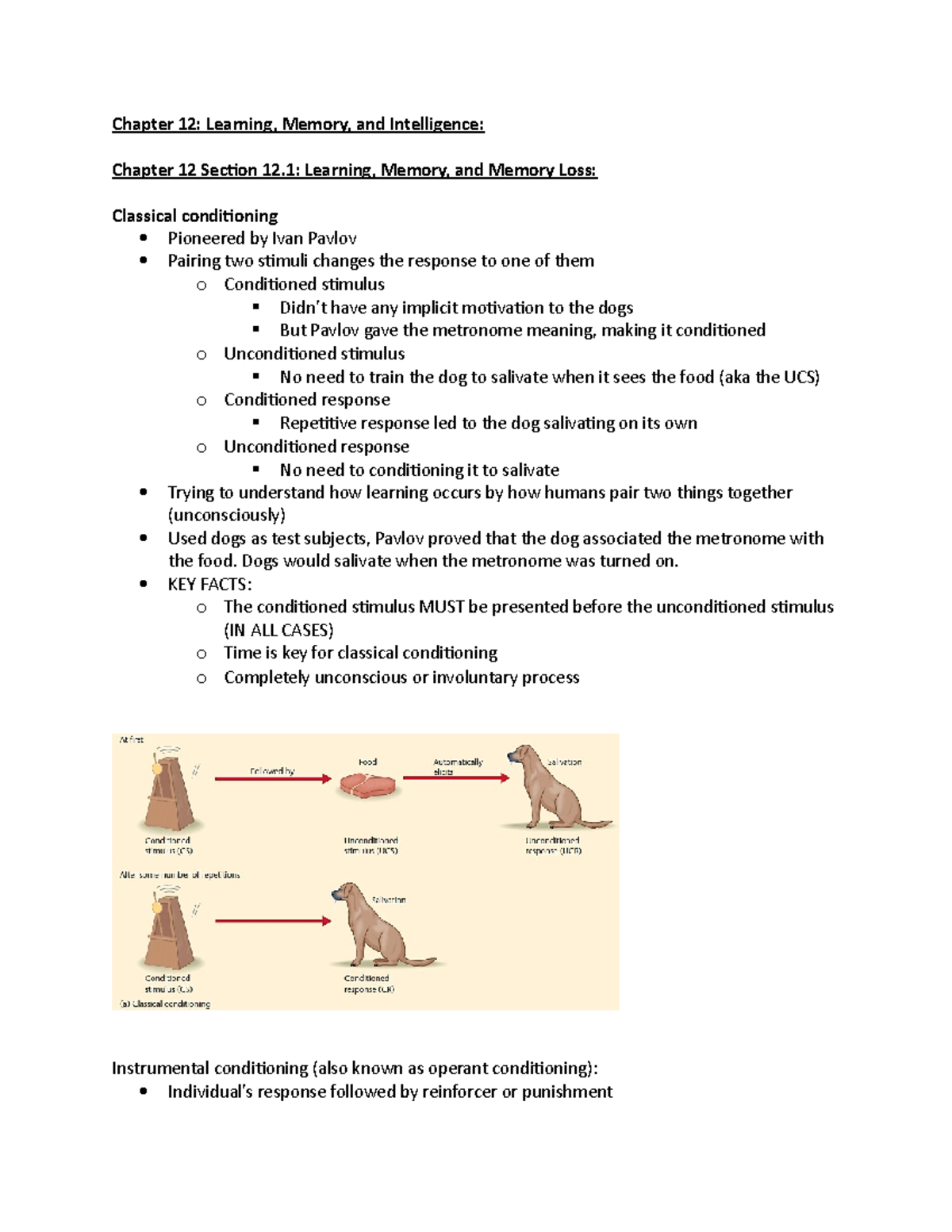 Psych Chapter 12- Learning, Memory, and Intellegence - Chapter 12: Learning, Memory, and - Studocu