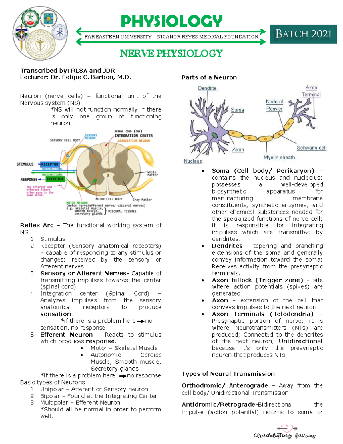 [Physio A] Nerve Physiology-Barbon (Gradelifting Fairies) - PHYSIOLOGY ...