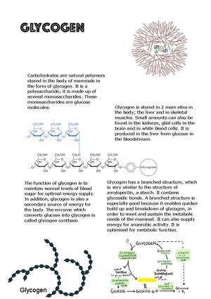 Lecture 8 Tissue Structure and Function - Tissue structure and function ...