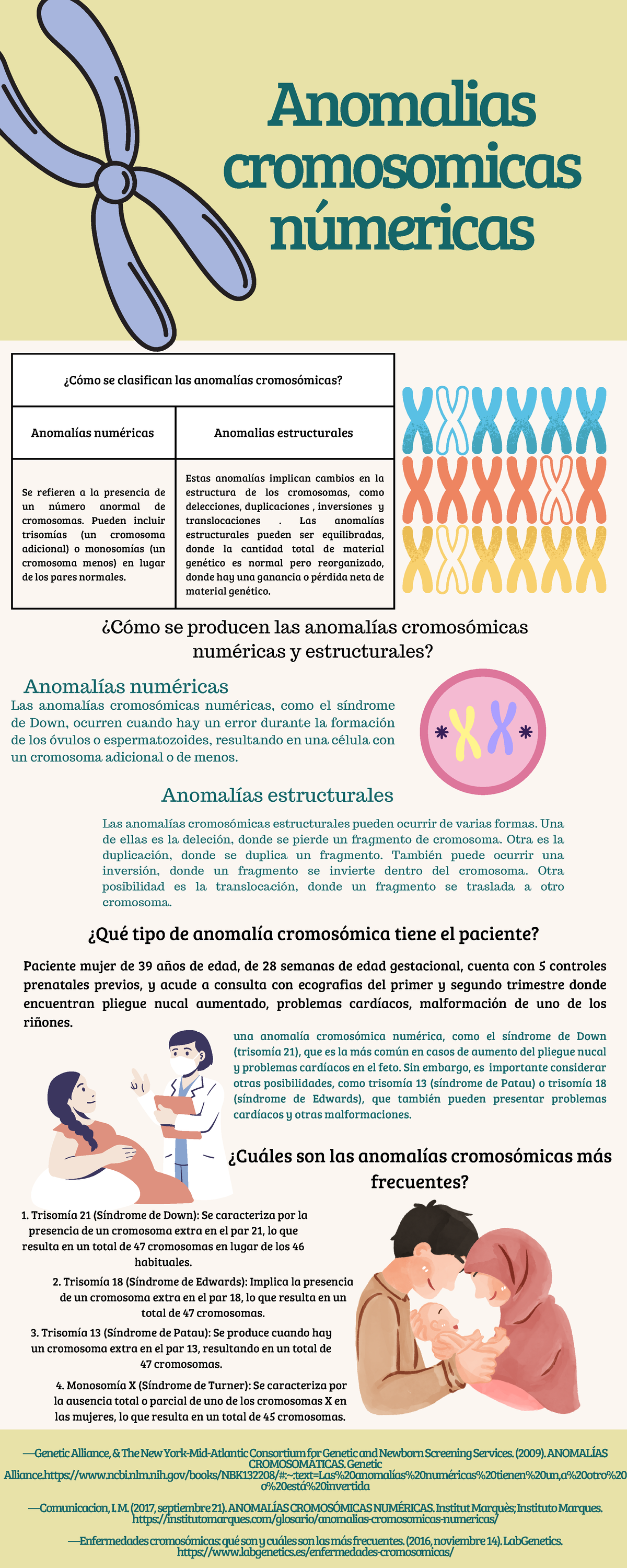 Infografia 1 - ¿Cómo se clasifican las anomalías cromosómicas? Anomalías numéricas Anomalias ...
