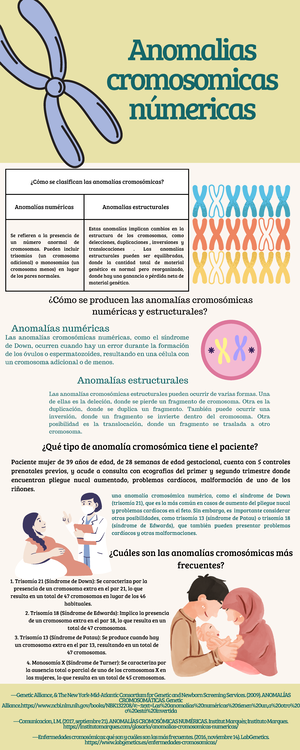 Infografía N°1 -embriologia - ¿Cómo se clasifican las anomalías cromosómicas? Anomalías ...