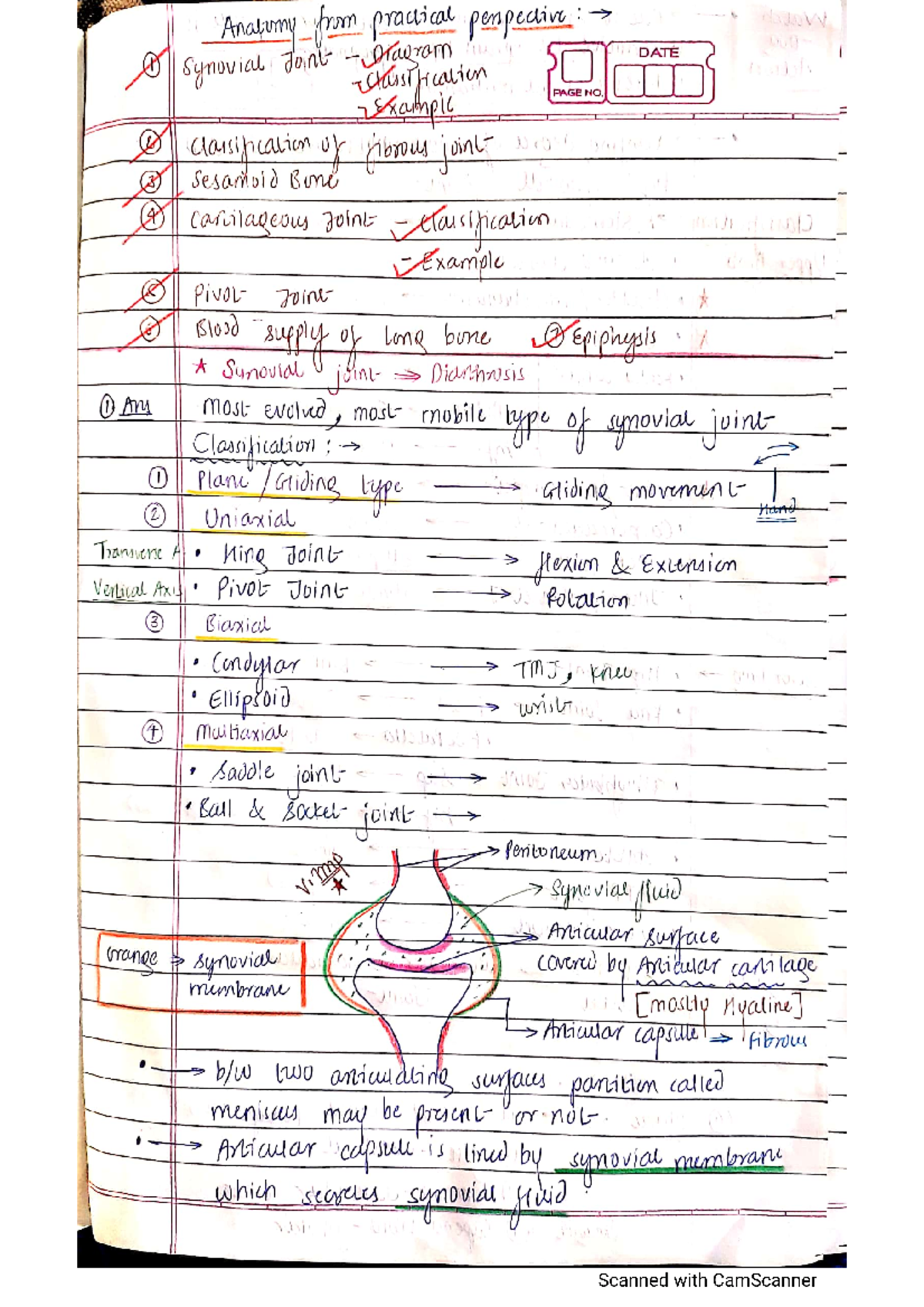 General anatomy Johari MBBS lectures - Anatomy from practical ...