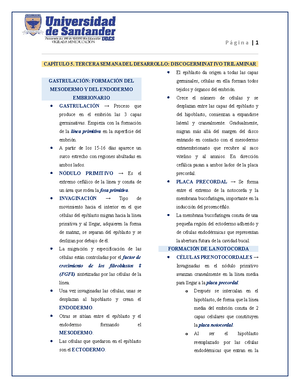 Origen embriológico del Sistema Nervioso sem 1 - NEUROECTODERMO ...
