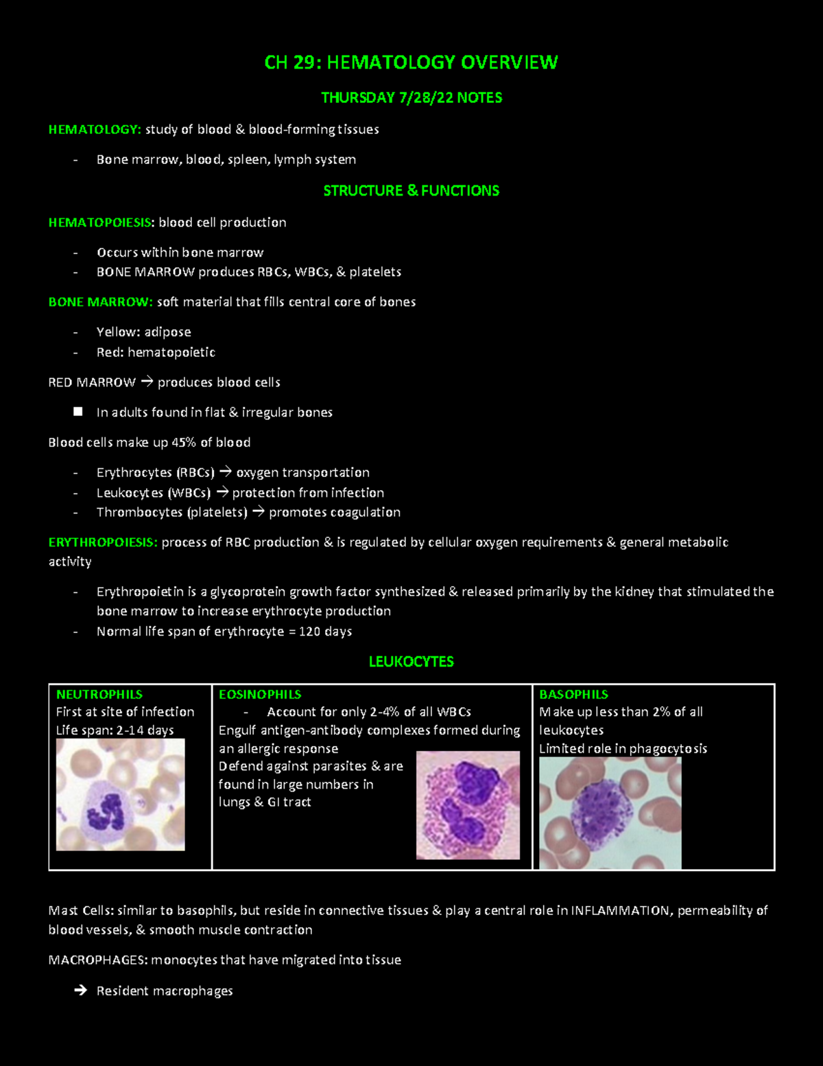 CH 29 Notes pdf - CH 29: HEMATOLOGY OVERVIEW THURSDAY 7/28/22 NOTES ...