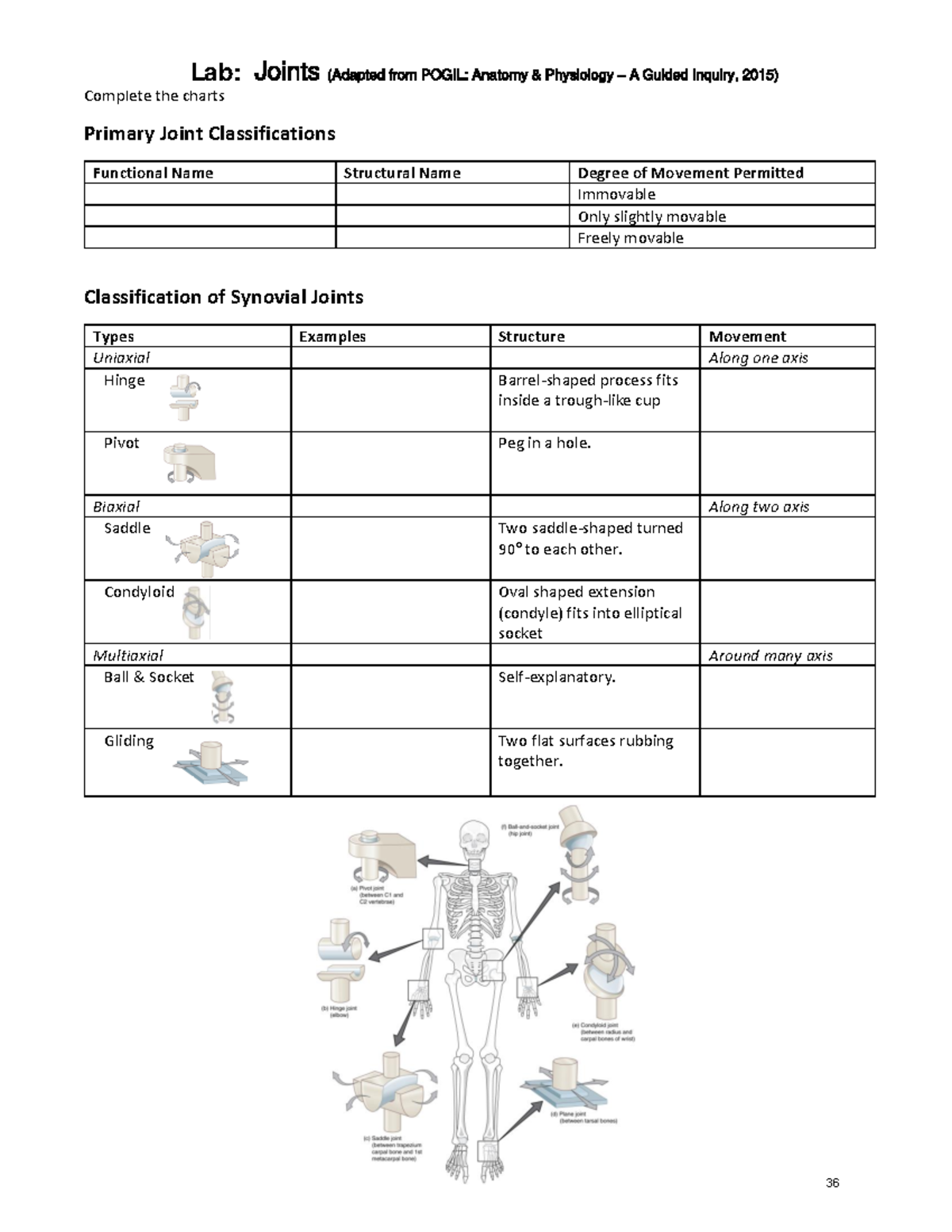 SMC Anat 1 Lab Exercises - Joints - Lab 8: Joints (Adapted from POGIL ...