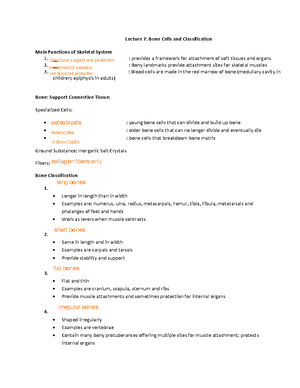 18 Accessory Structures of Digestive System outline - Lecture 18 ...
