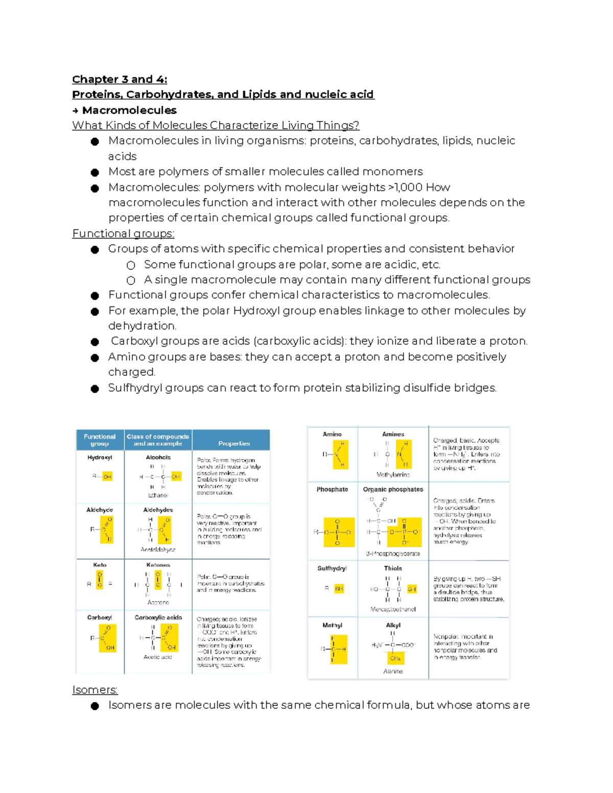Lecture notes chapter 3-4 - Chapter 3 and 4: Proteins, Carbohydrates ...