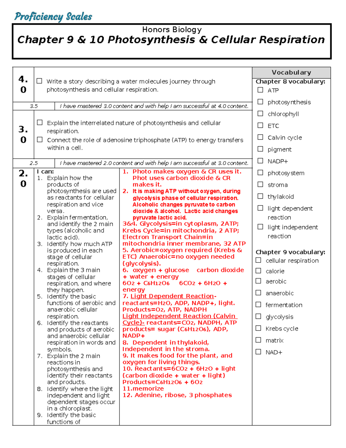 Proficiency Scale Answers Photosynthesis and Cellular Respiration 2 ...