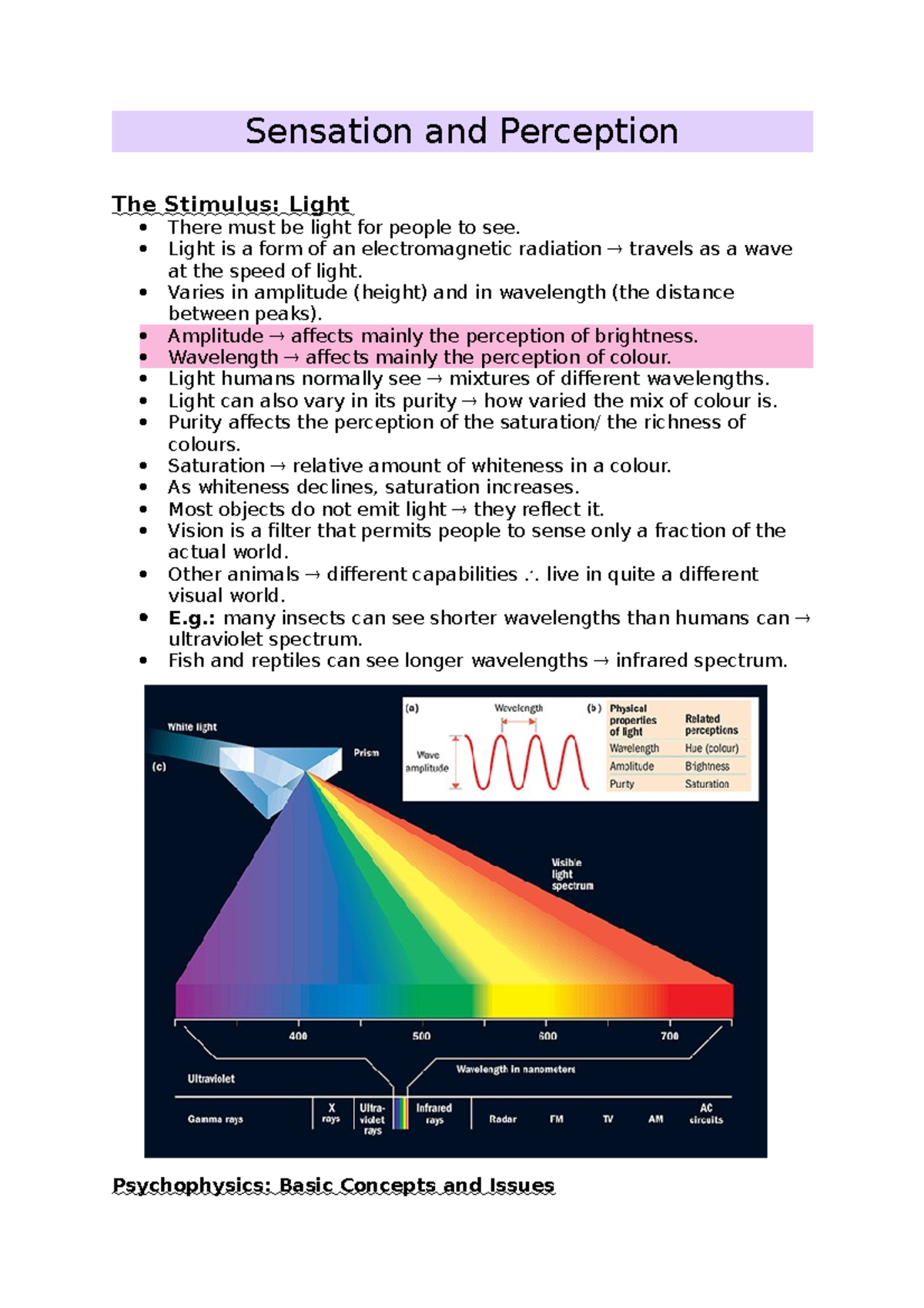 Sensation and Perception - Light is a form of an electromagnetic ...