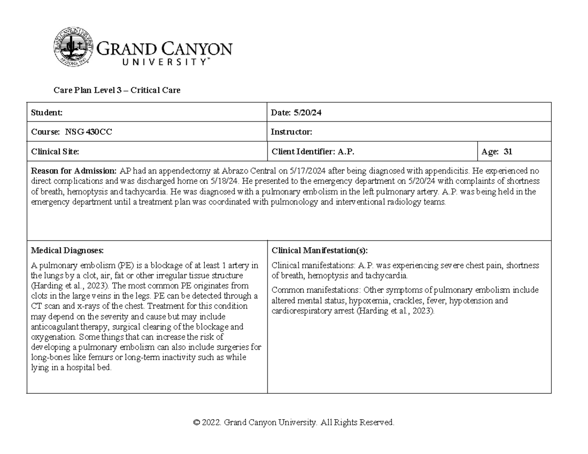 Updated 5-20-24NSG-430CCA-RS-Care-Plan-Level-3-Critical-Care-Template ...
