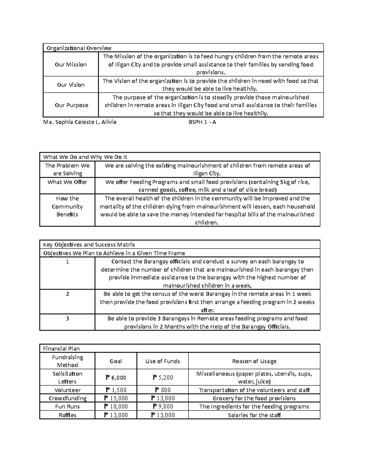 Business Plan sample fia - Organizational Overview Our Mission The ...