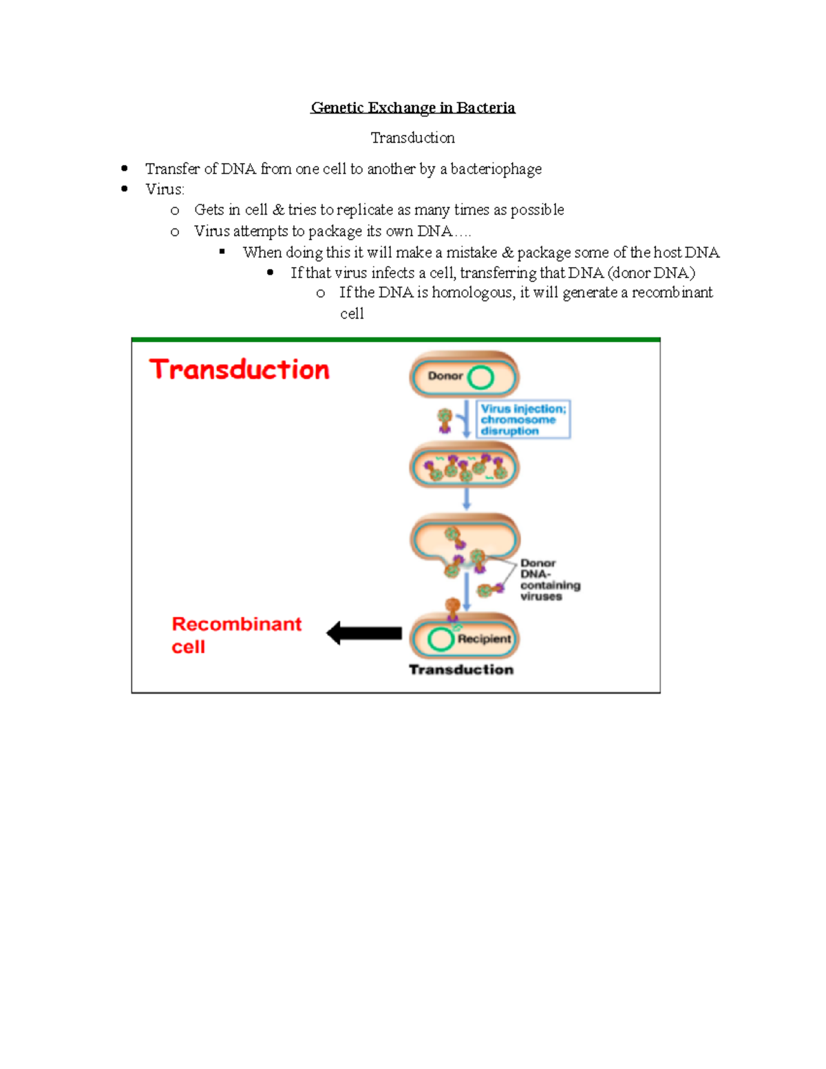 Genetic Exchange in Bacteria - Genetic Exchange in Bacteria ...