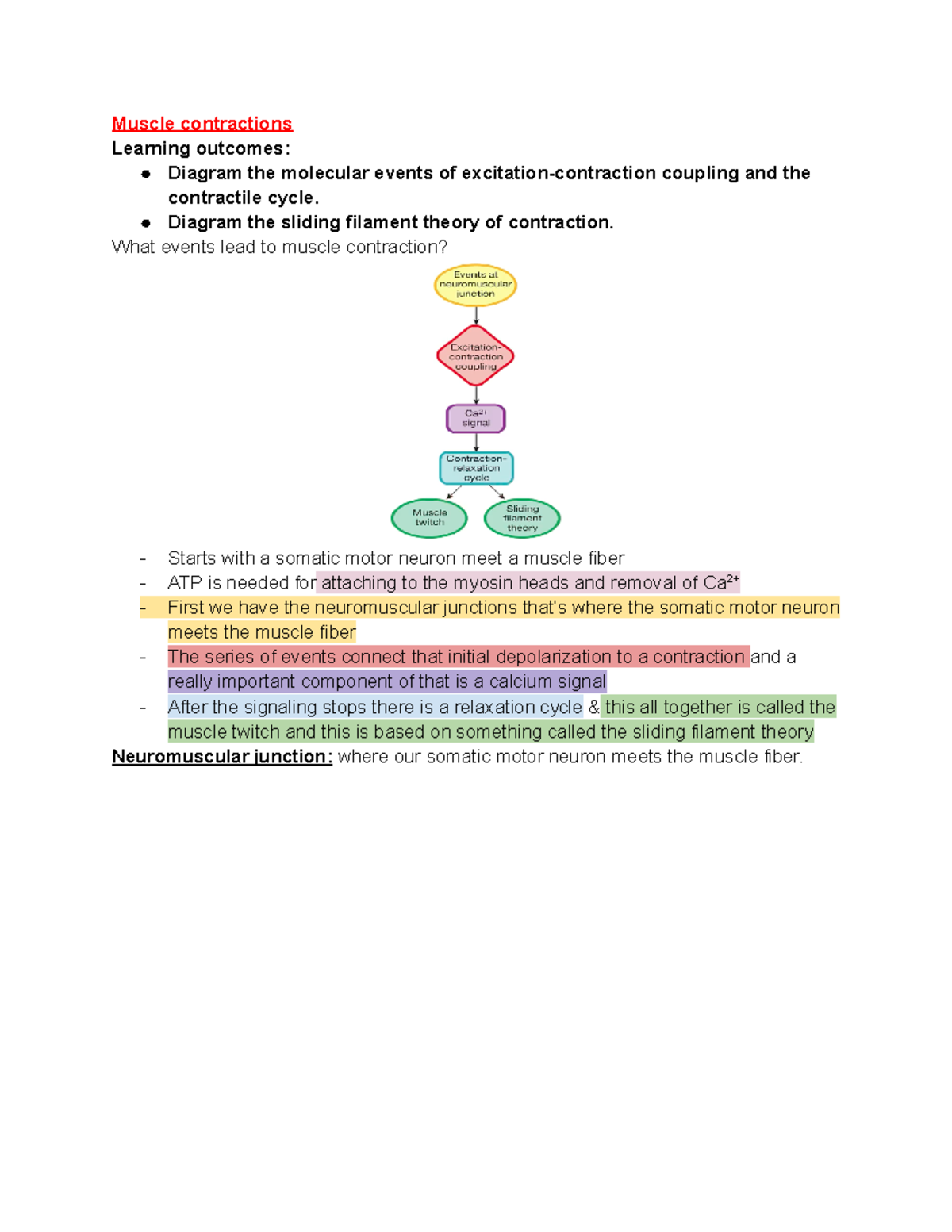 Muscle contractions - E109 Lecture Notes - Muscle contractions Learning ...