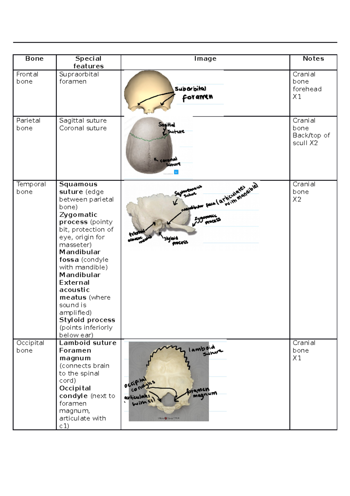 Bones table - llm - Bone Special features Image Notes Frontal bone ...