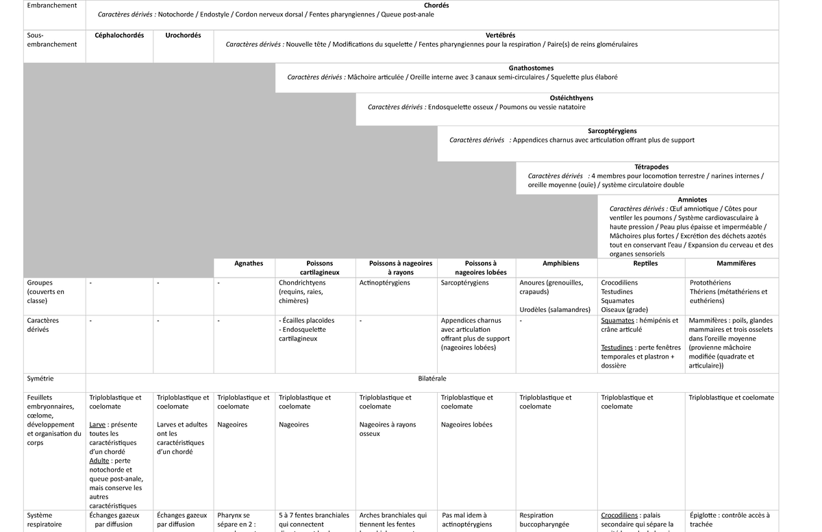 Tableau récapitulatif chordés - Embranchement Chordés Caractères ...
