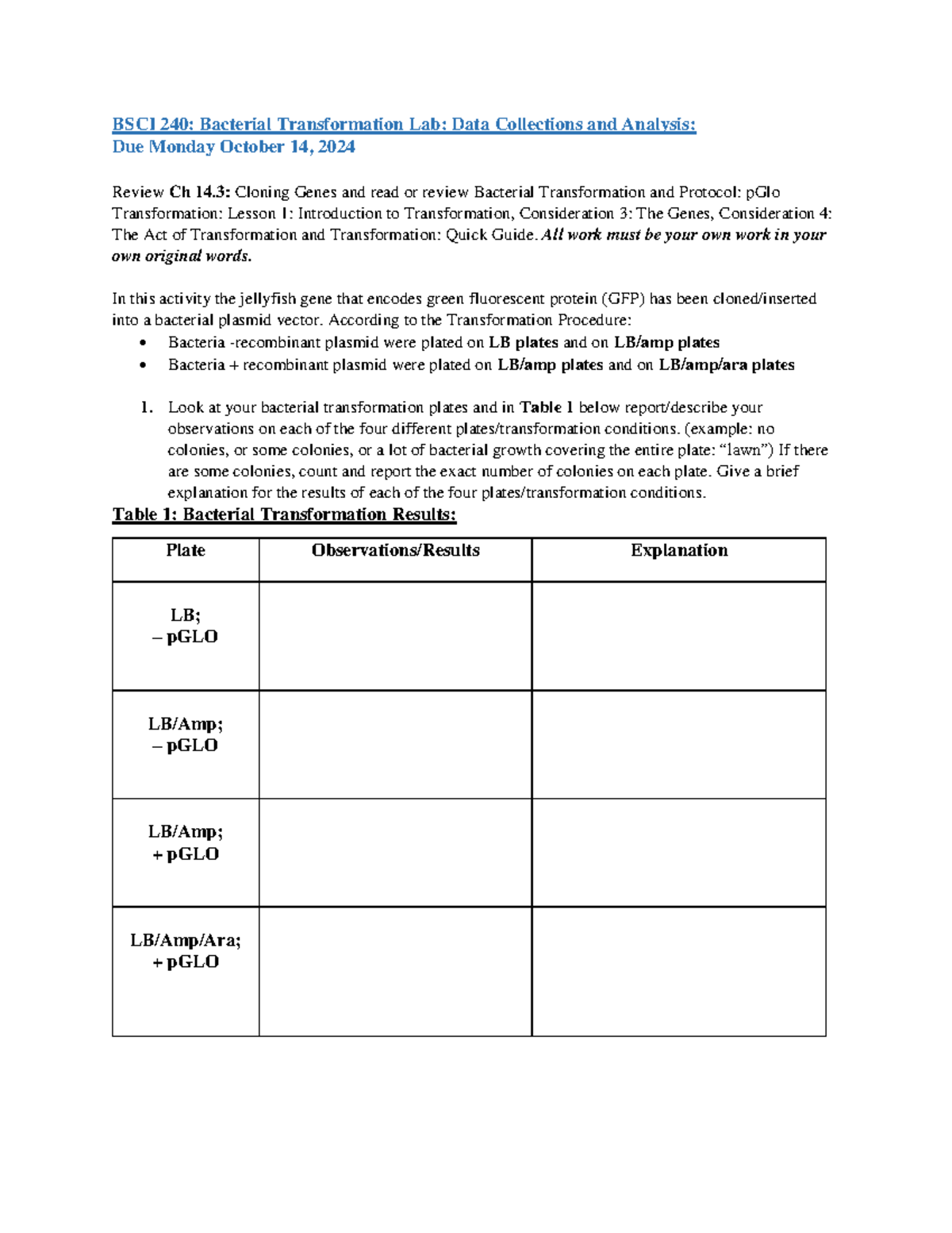 Bacterial Transformation Followup Fall 2024 - BSCI 240: Bacterial ...