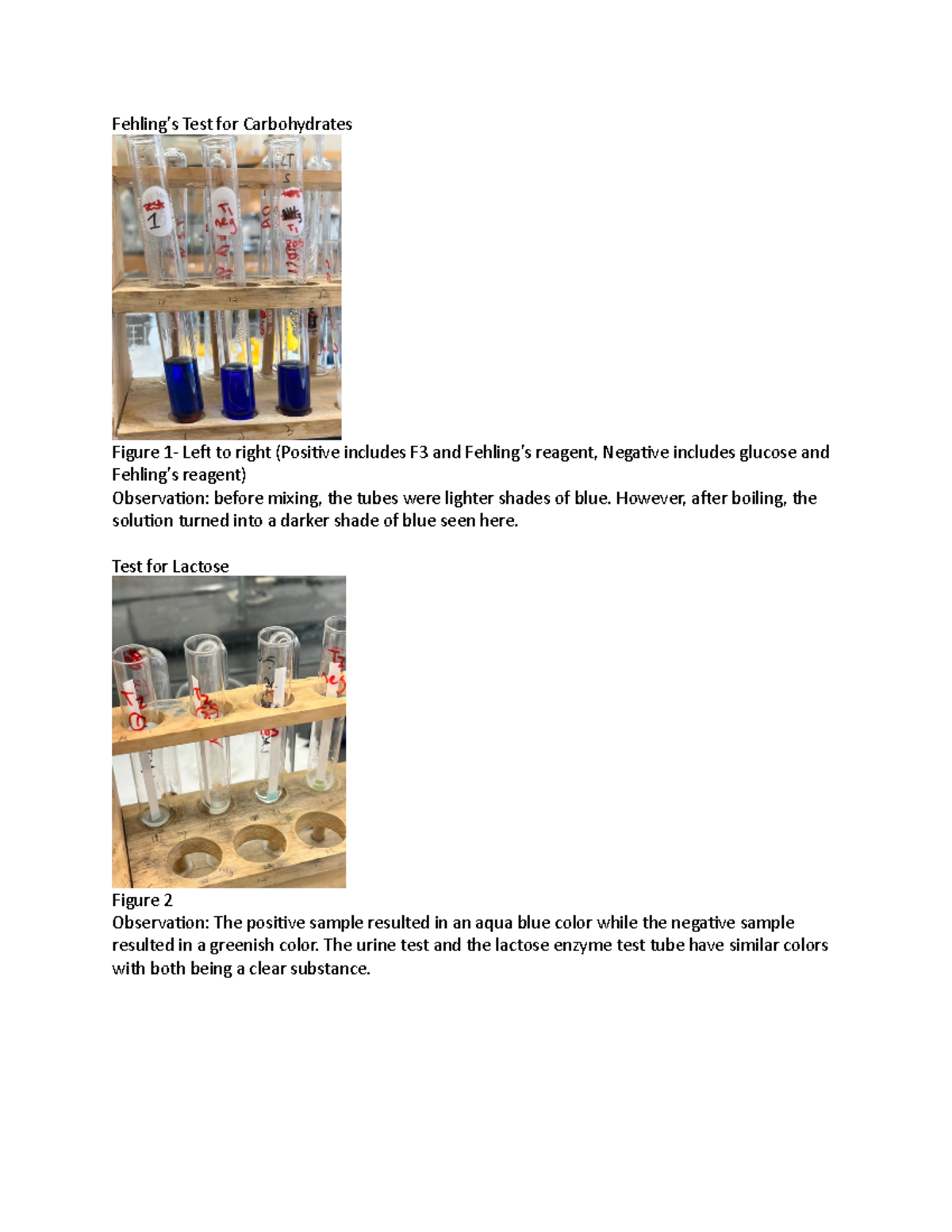Chem Lab 2 Report - Experiment 2 - Fehling’s Test for Carbohydrates ...