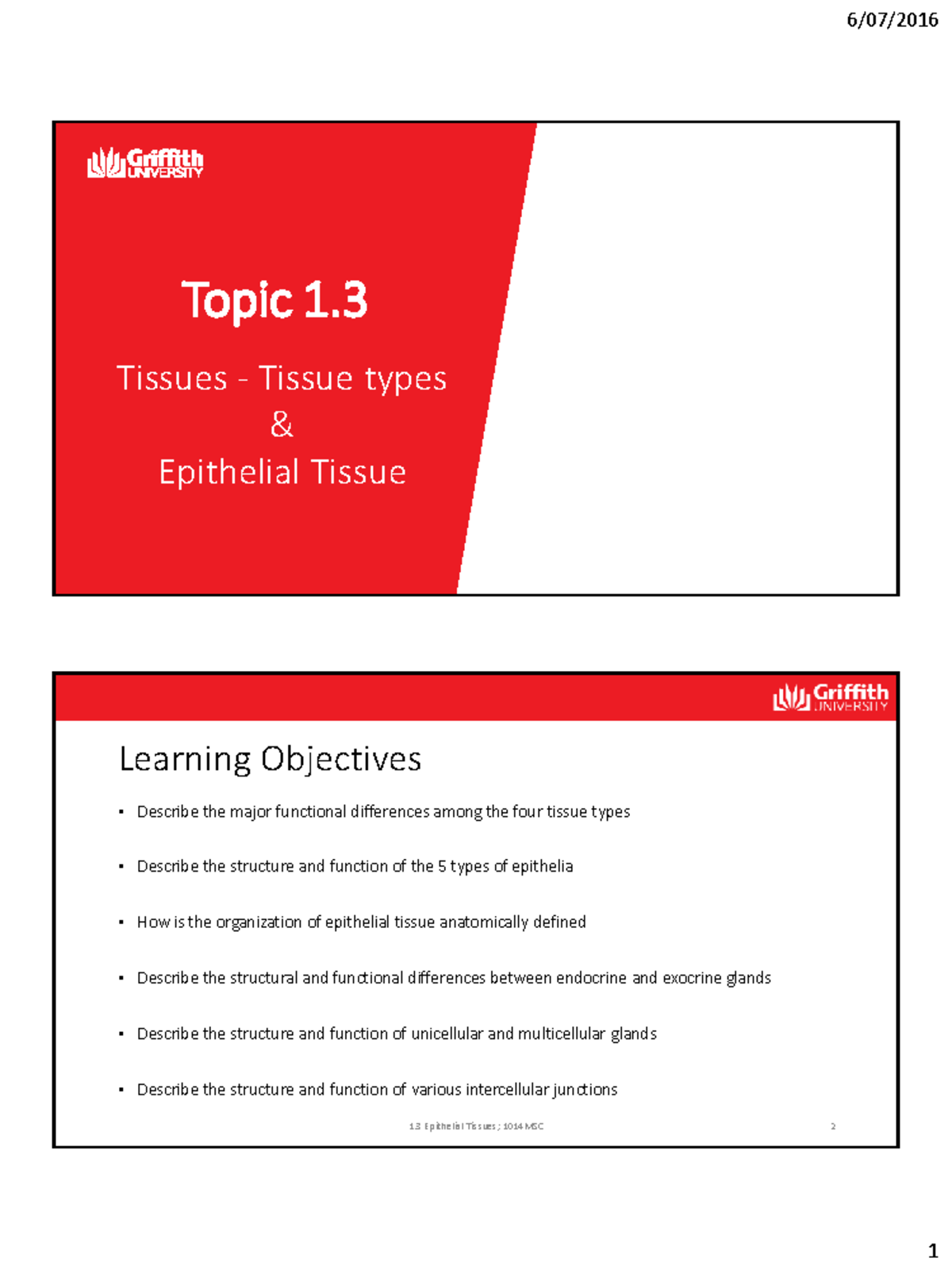 1.3 Tissue types and epithelial tissue - Topic 1. Tissues - Tissue ...