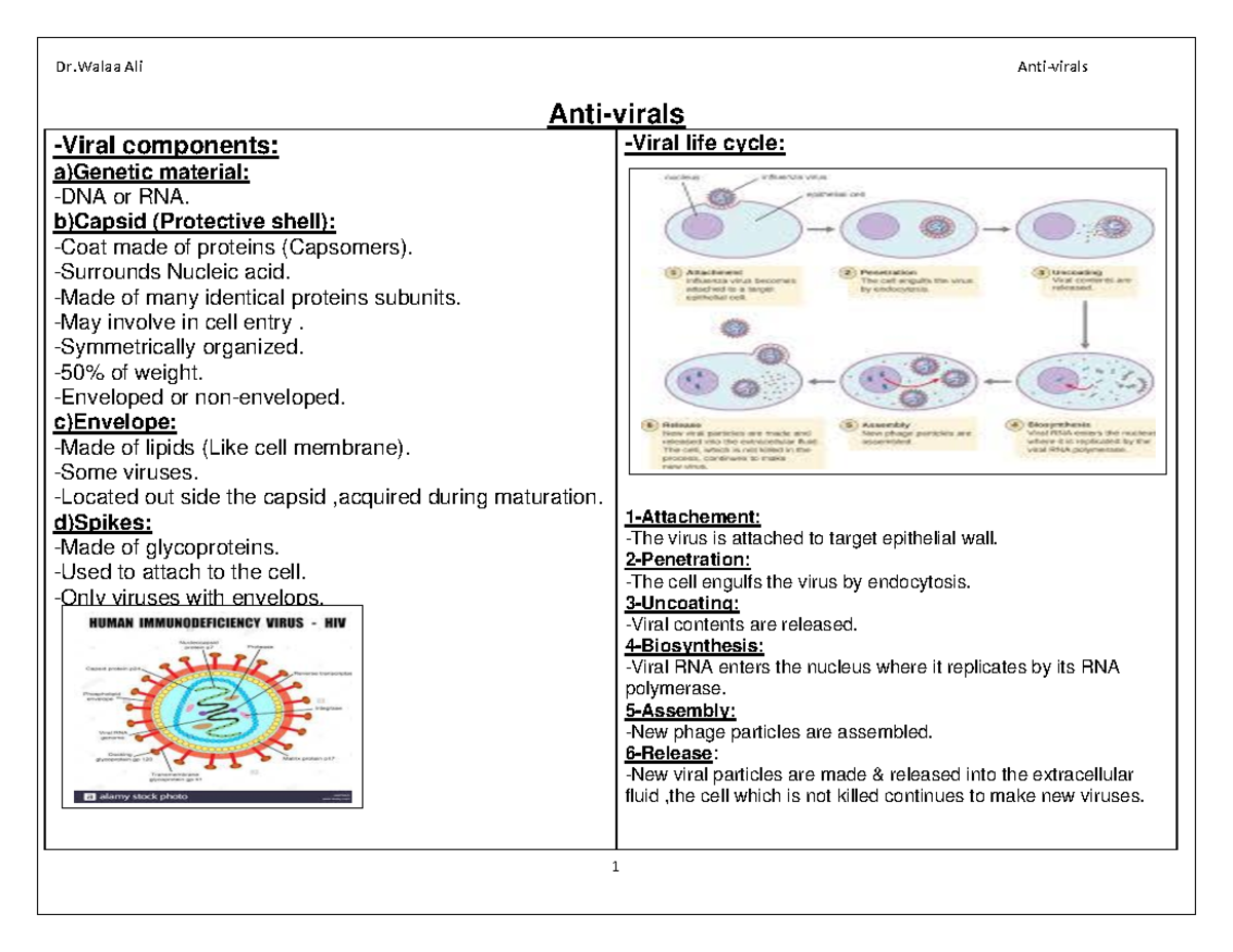 Anti-viral - Medical microbiology - Anti-virals -Viral components: a ...