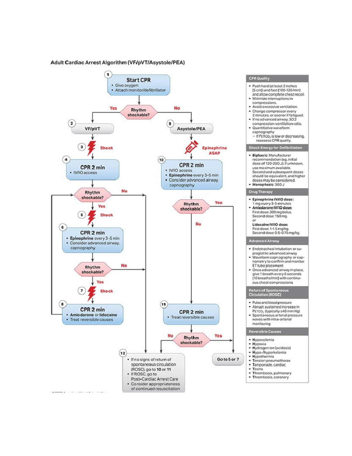 ACLS worksheet 2 - BIO 148 - Studocu