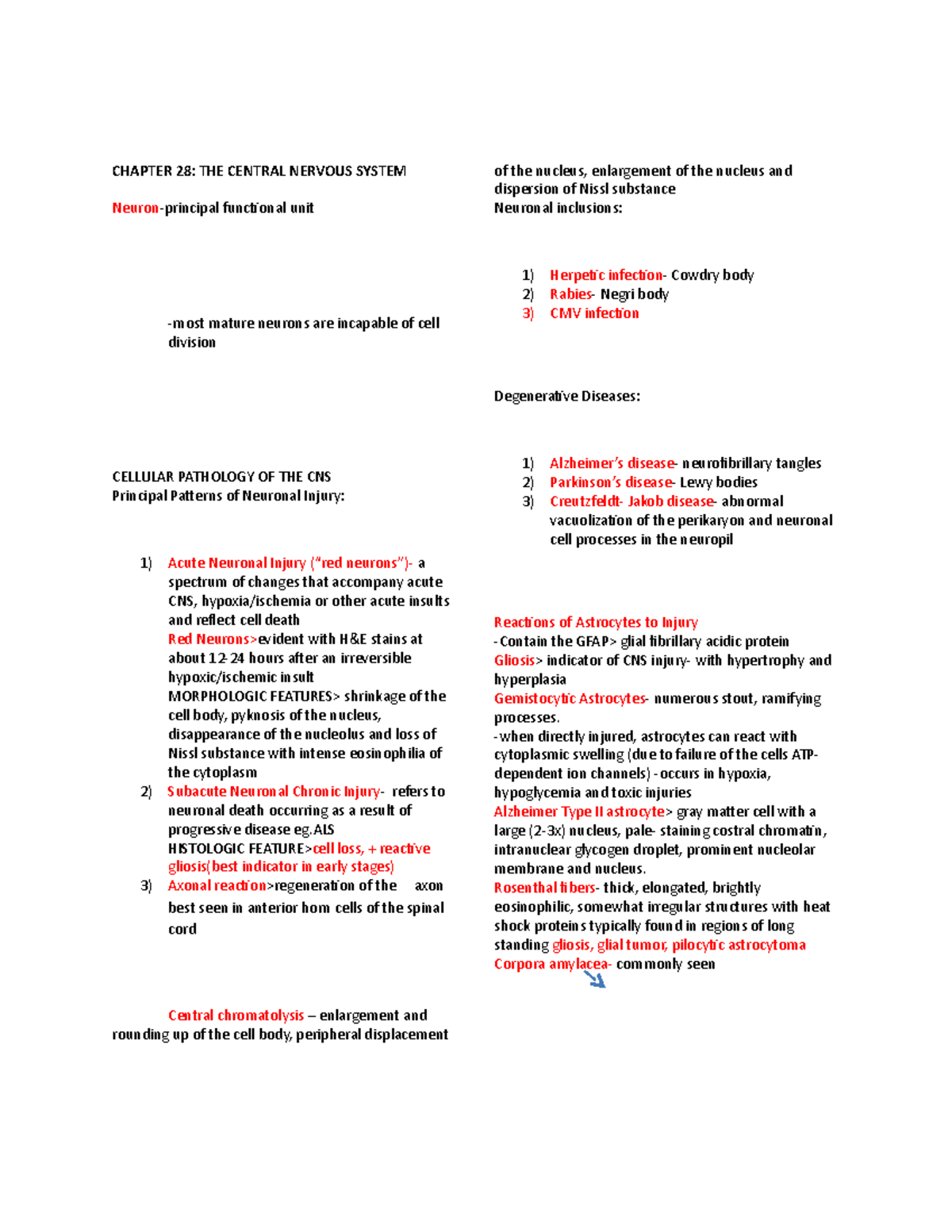 Central nervous system anatomy and physiology - CHAPTER 28: THE CENTRAL ...