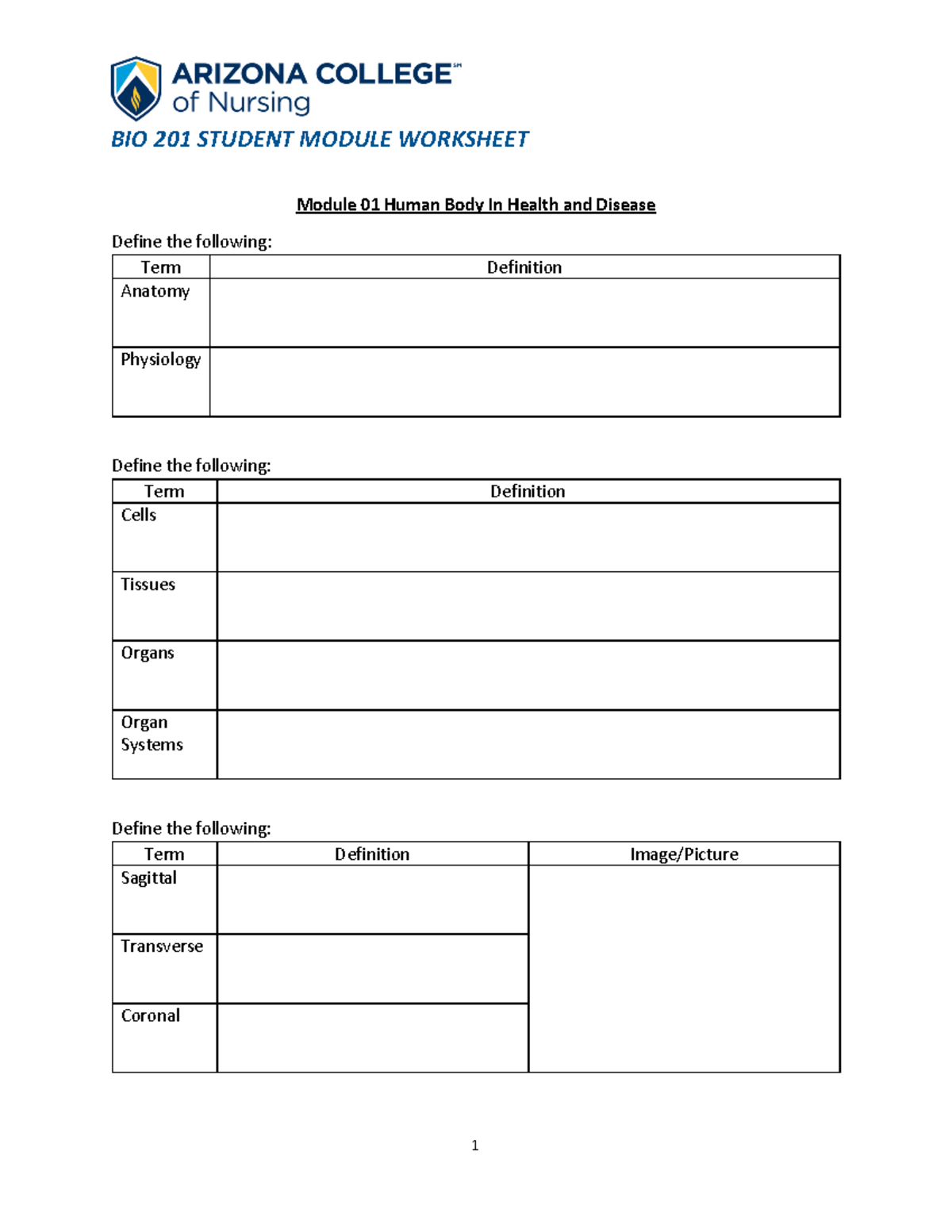 Bio 201 Module 01 Student Worksheet - Module 01 Human Body In Health ...