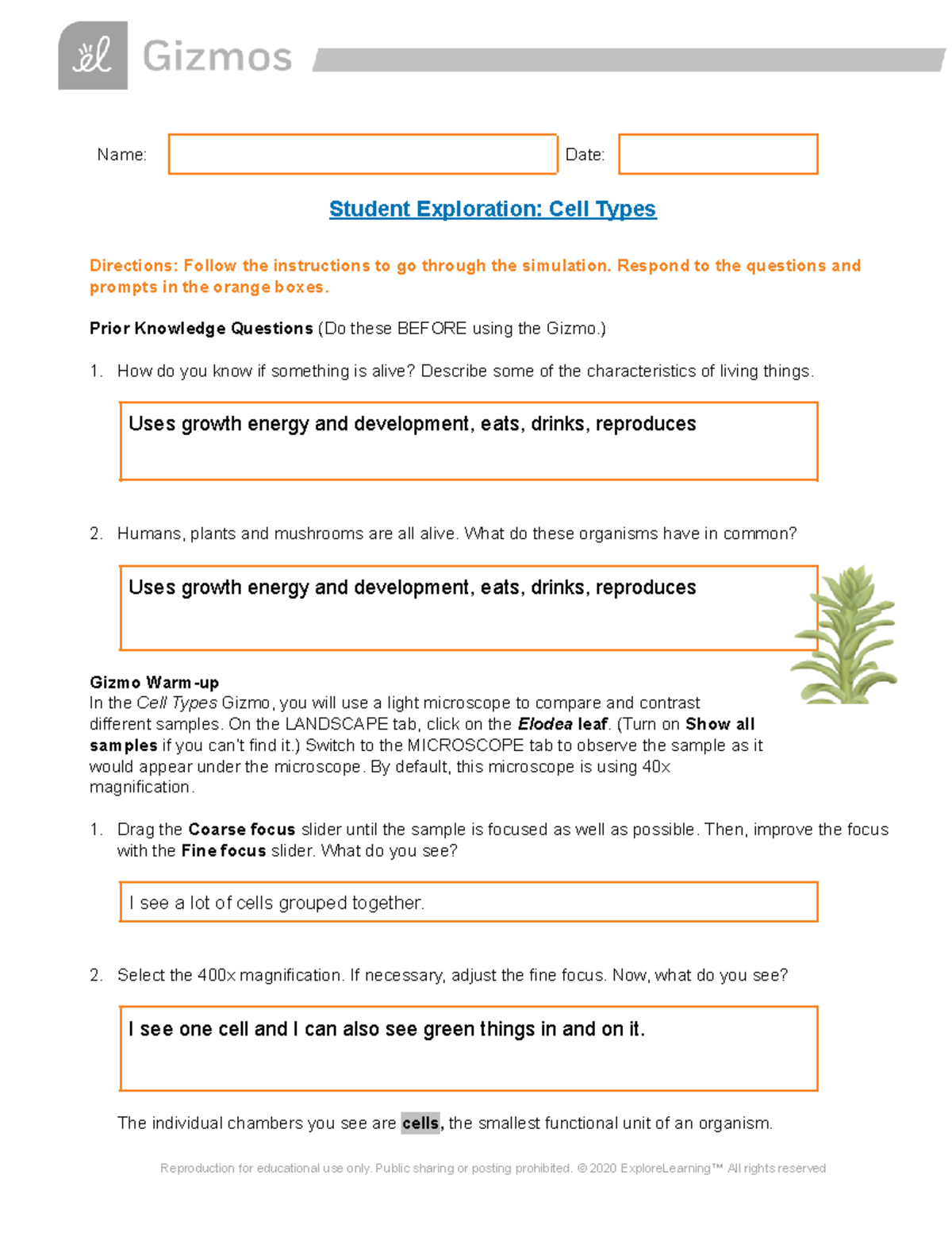 Copy of Gizmo Microscope Cell Types Practice - Name: Date: Student ...