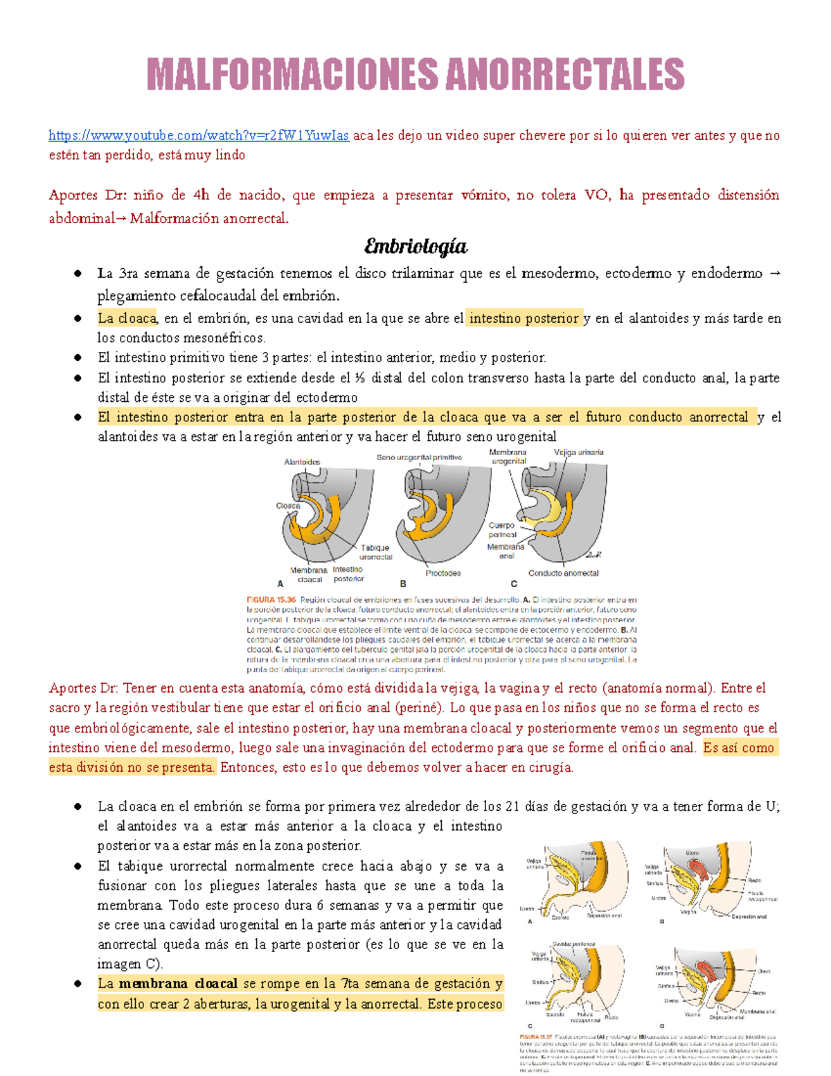 5. Malformaciones Anorrectales - MALFORMACIONES ANORRECTALES youtube/watch?v=r2fW1YuwIas aca les ...