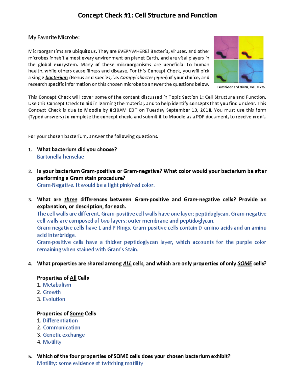 Concept Check 1 MB351 Fall 2018 - Concept Check Cell Structure and ...