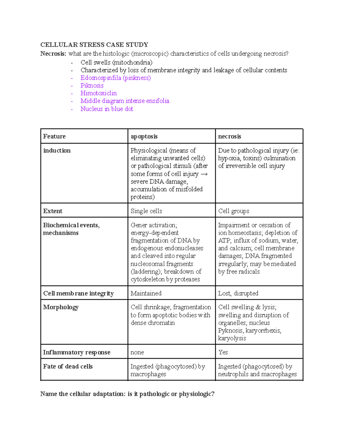 Cellular Stress CASE Study - CELLULAR STRESS CASE STUDY Necrosis: what ...