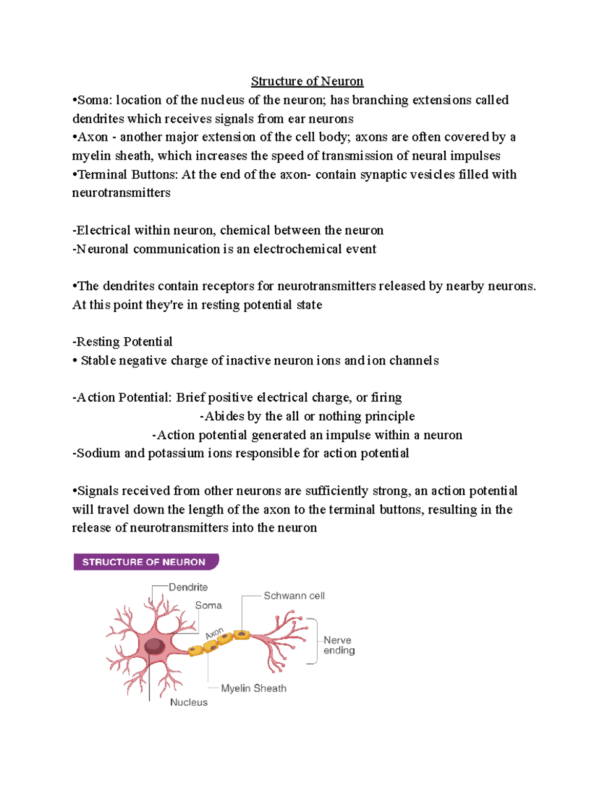 Psychology Notes 11 - Structure of Neuron •Soma: location of the ...