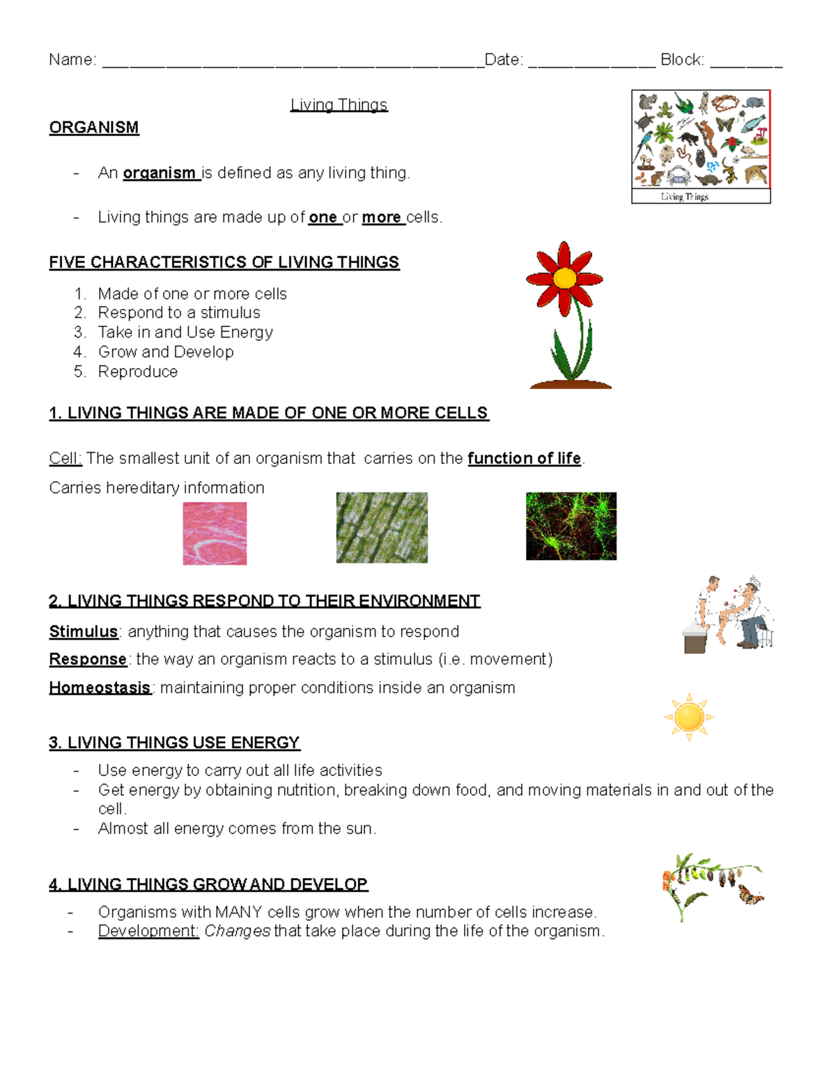 Living Things Completed Notes - Name ...