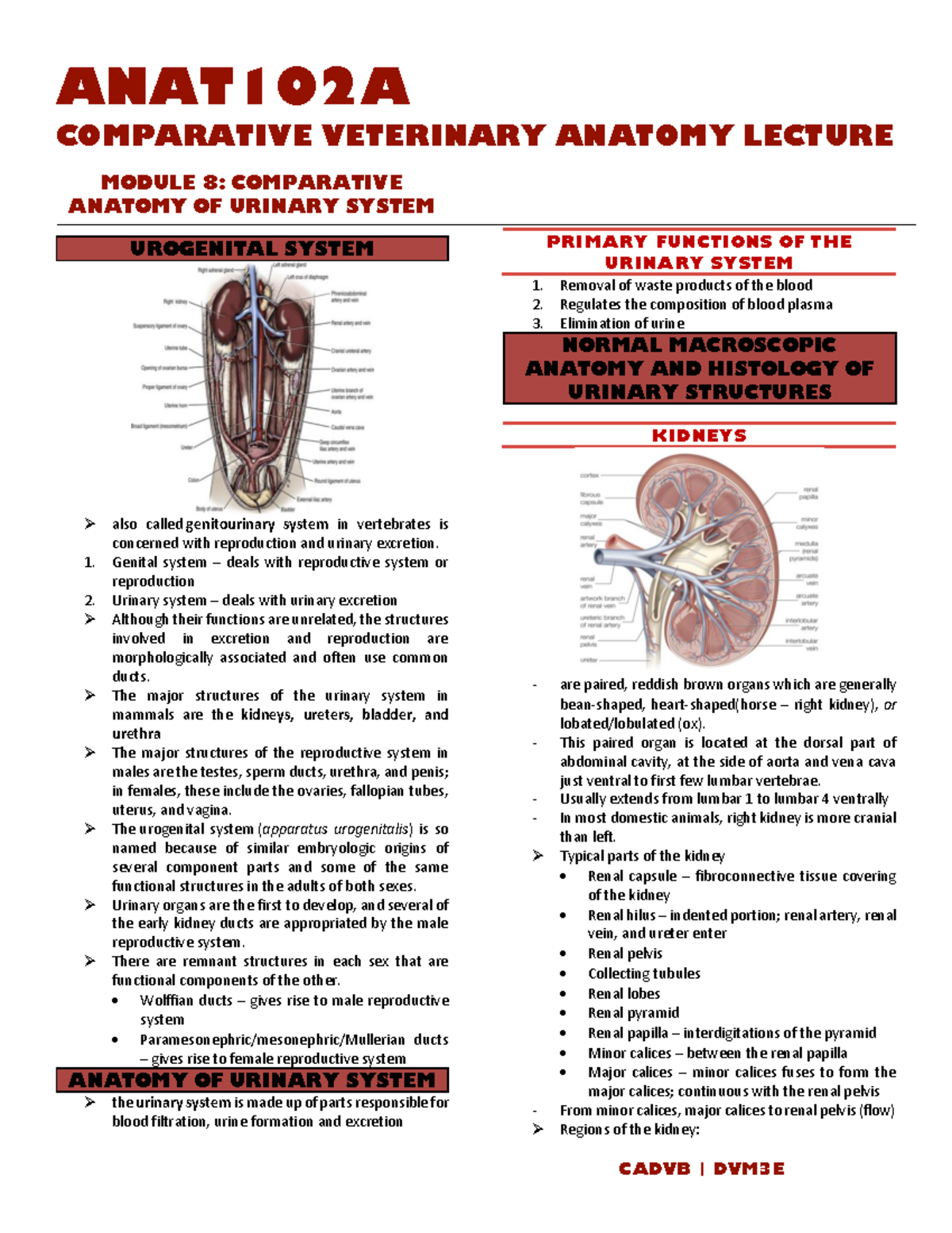 Module 8 ANAT102A - nananananananananananananananananana - ANAT10 2 A ...