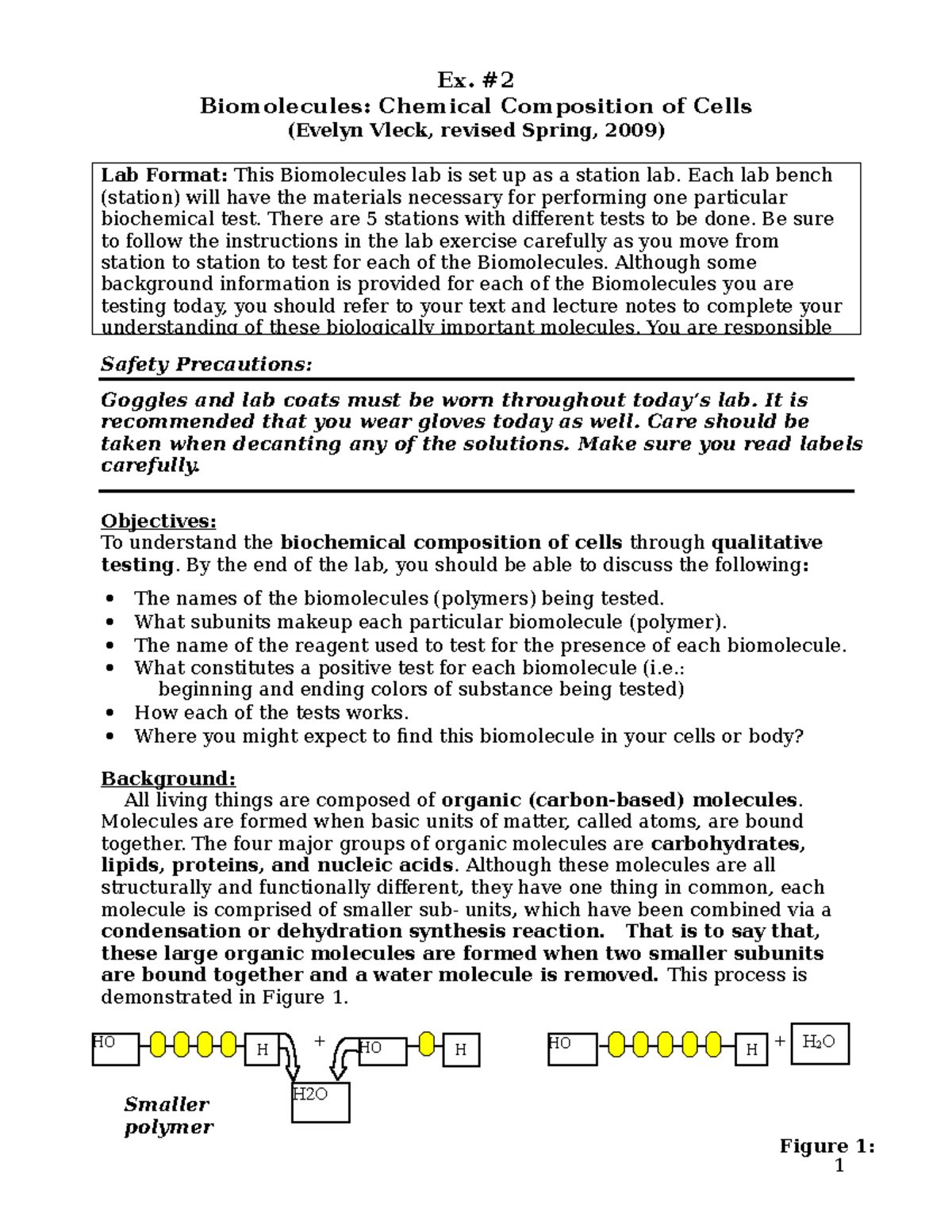 Lab worksheet#2- Biomolecules Chemical Composition - HO H HO H H2O HO H ...