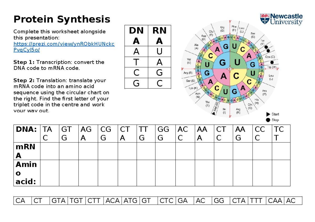 Protein Synthesis - Worksheet - Protein Synthesis DNA: TA C GT G AG A ...