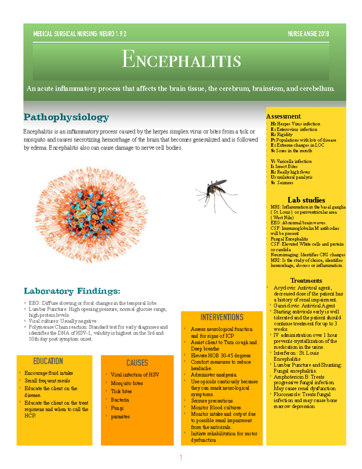 Encephalitis - Lecture notes Lecture notes - Pathophysiology ...