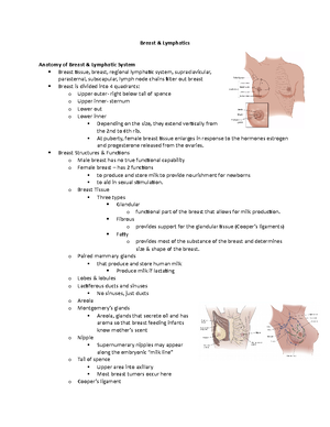 Musculoskeletal System - Musculoskeletal System Anatomy Structure of ...