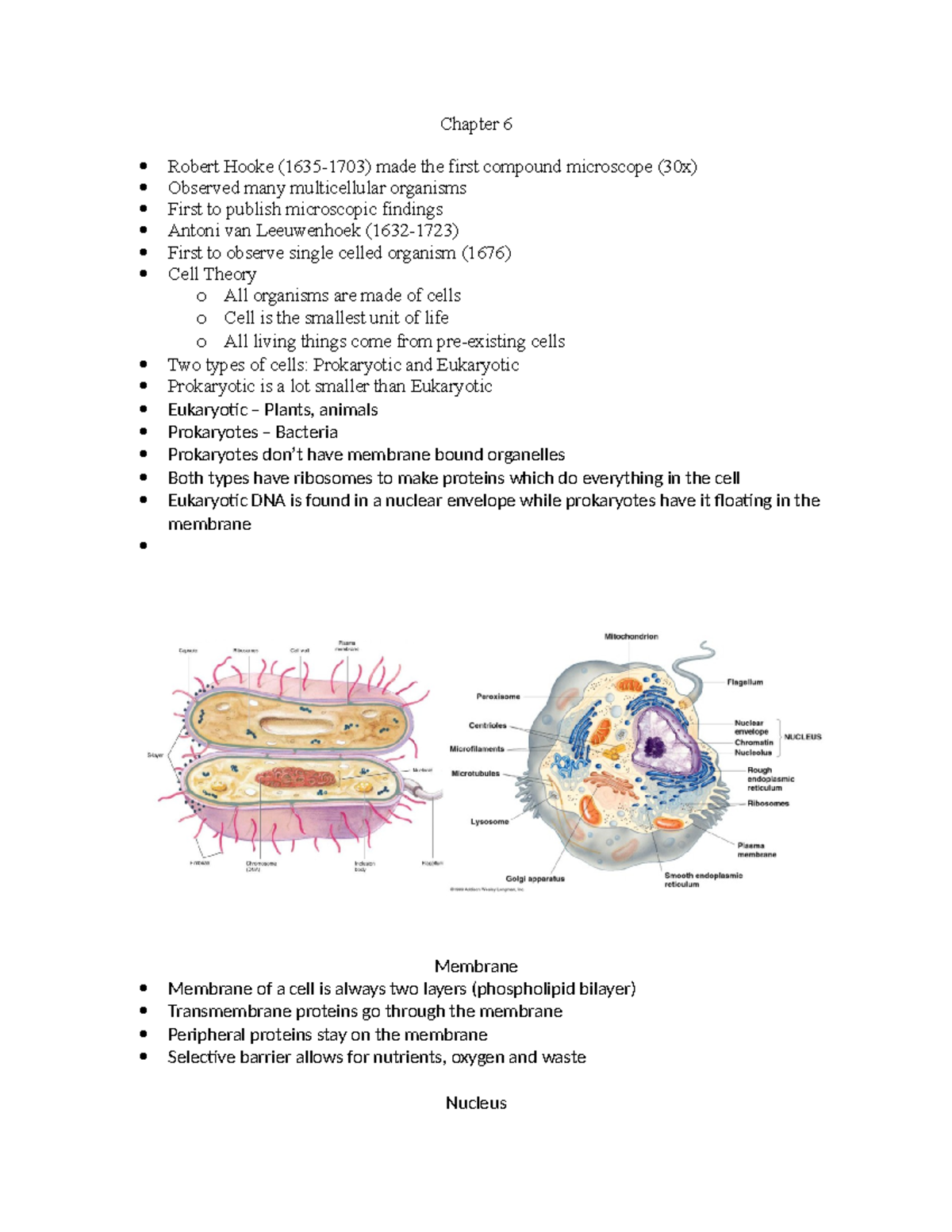 Chapter 6 Bio - Chapter 6 Robert Hooke (1635-1703) made the first ...