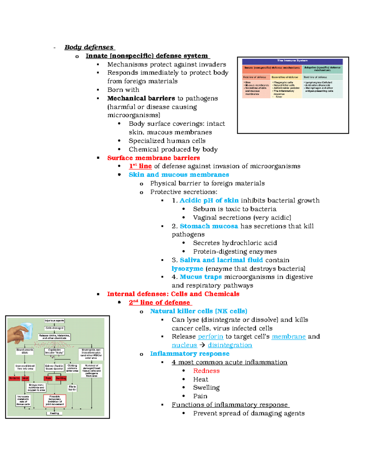 Chapter 21 - Immune System - Body defenses o Innate (nonspecific ...