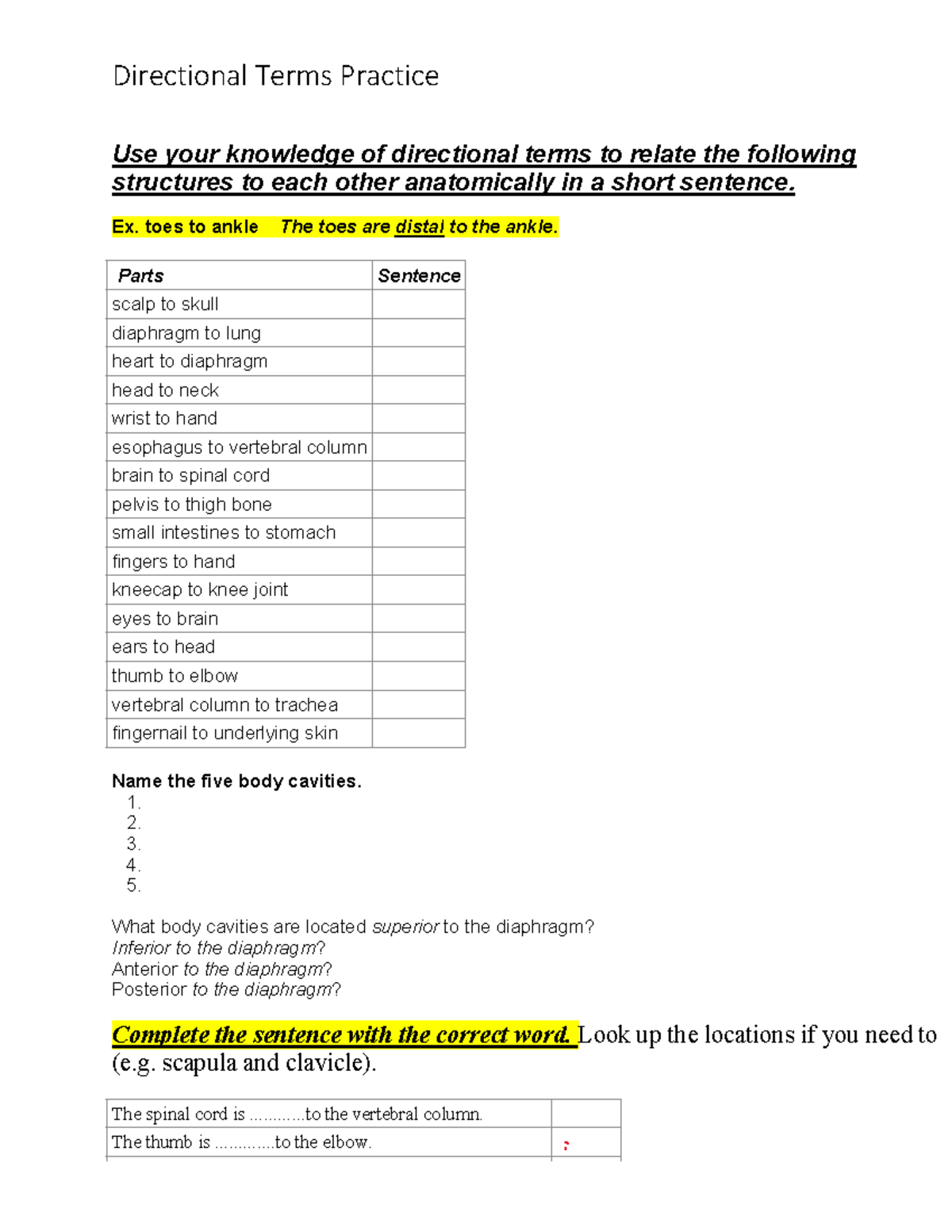 Anatomical Direction Terms Worksheet - - Studocu