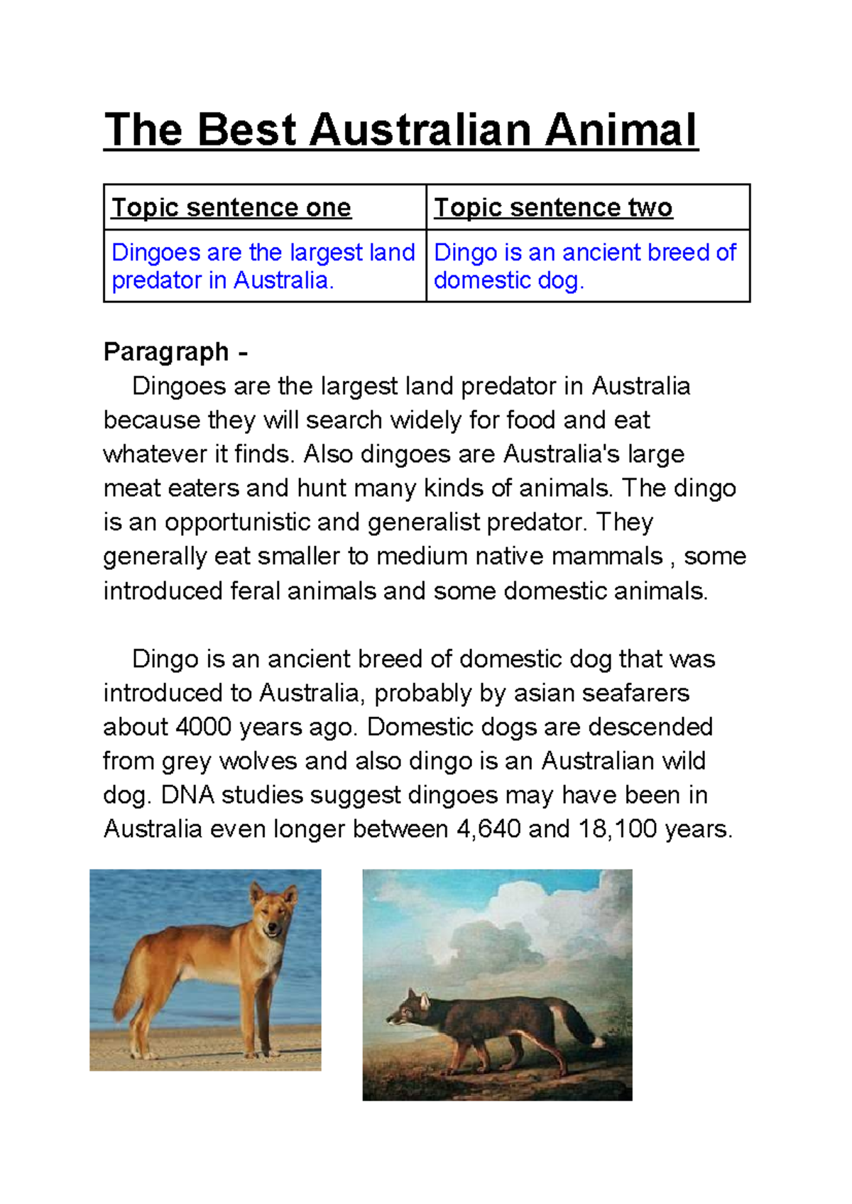 practise material about a native animal ...