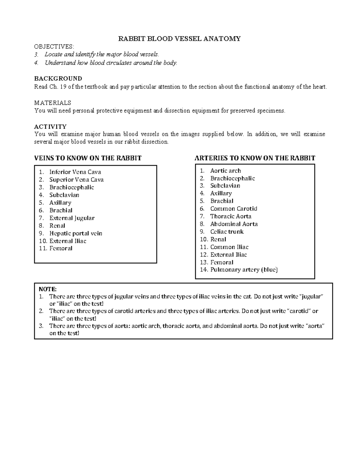 Biology 20 Lab Manual V 2E - RABBIT BLOOD VESSEL ANATOMY OBJECTIVES: 3 ...