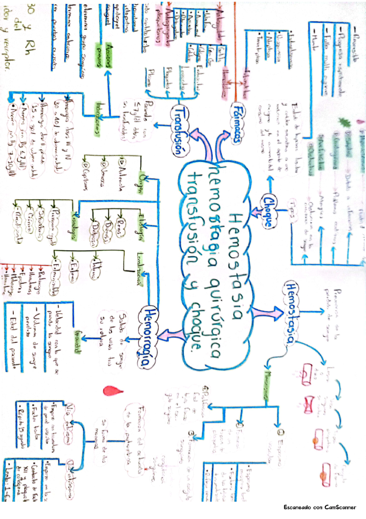 1. Hemostasia, hemorragia quirúrgica, transfusión y choque - Cirugia ...