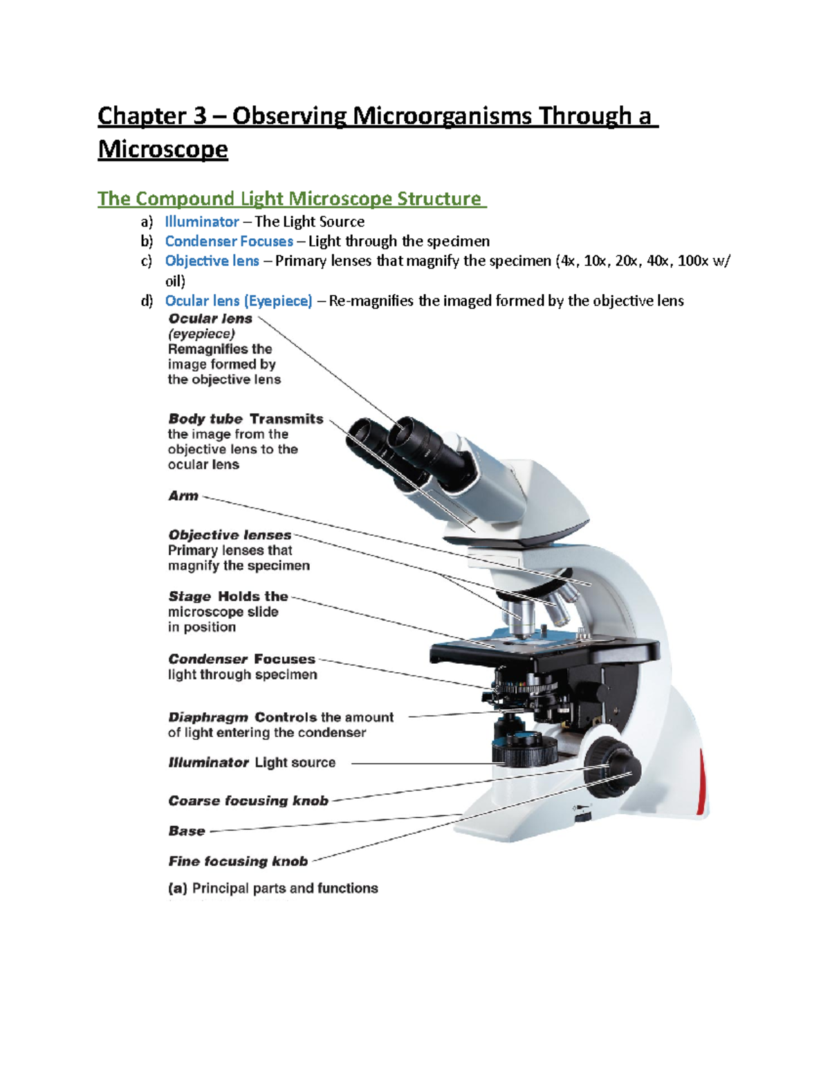 Chapter 3 - Observing Microorganisms and Chapter 4 - Prokaryote and ...